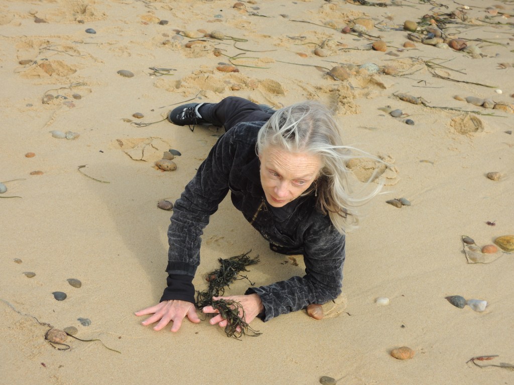 Films | Andrea Olsen